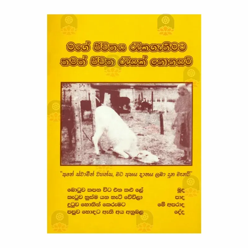Mage Jivithaya Rakaganimata Thavath Jivitha Rasak Nonasami | Buy Online ...
